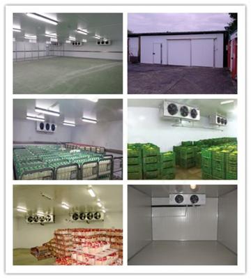 China Cooling Method Air Cooling Freezer Room for Storing Fruits Vegetables Meat and Fish for sale