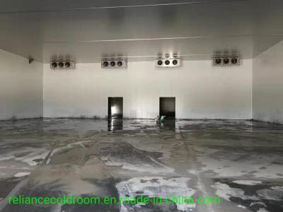 Chine Demande personnalisée Chambre froide pour le stockage du poisson et de la viande Plage de température -10-0C 3 tonnes à vendre
