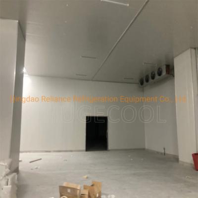 China Blast Freezer Cold Room with Air Cooling Method and Compressor Refrigeration Unit for sale