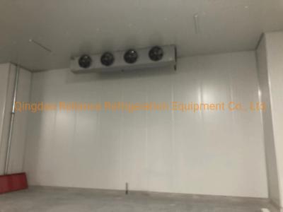 China Blast Freezer Cold Room with Air Cooling Method and Compressor Refrigeration Unit for sale