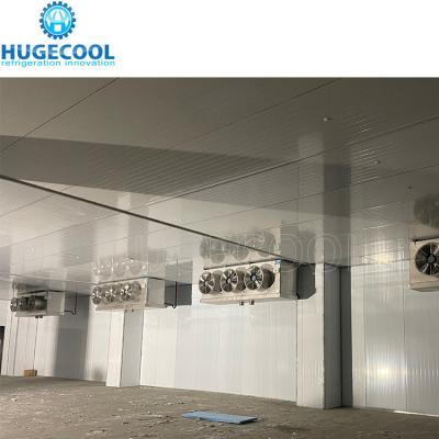 China Blast Freezer Cold Room with Air Cooling Method and Compressor Refrigeration Unit for sale