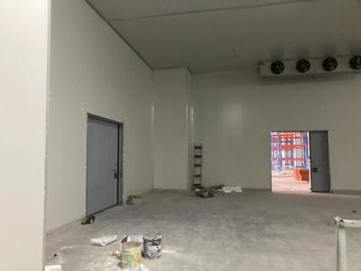 China COLDROOM2 20FT Container Cold Frozen Room Manufacturers with and Air Cooling Method for sale