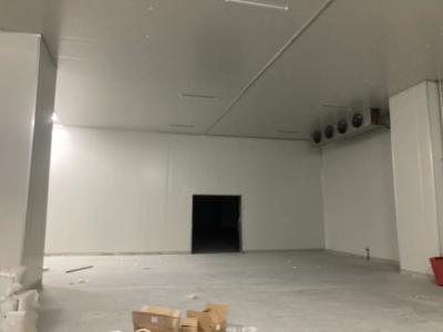China COLDROOM2 20FT Container Cold Frozen Room Manufacturers with and Air Cooling Method for sale