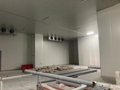 China COLDROOM2 20FT Container Cold Frozen Room Manufacturers with and Air Cooling Method for sale