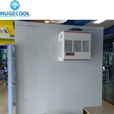 China COLDROOM2 20FT Container Cold Frozen Room Manufacturers with and Air Cooling Method for sale