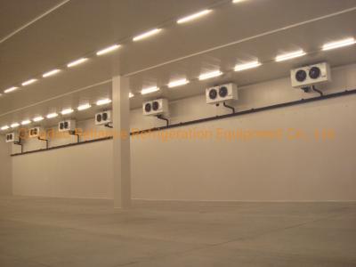 China Solar Powered Cold Rooms with Customized Request Walk in Freezer Temperature Controls for sale