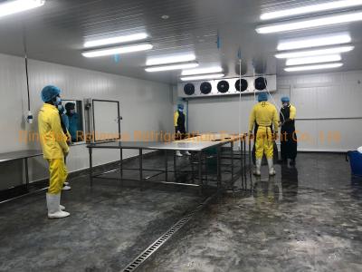 China Customized Request Cold Room Solar Used with Thermostat Condensing Unit 6HP Compressor for sale