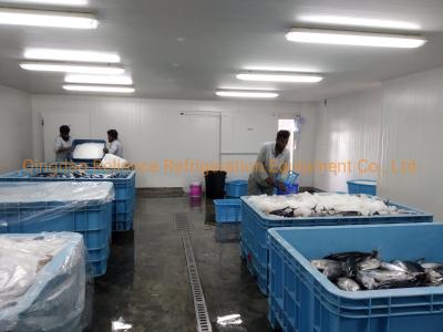 China Customized Request Cold Room Solar Used with Thermostat Condensing Unit 6HP Compressor for sale