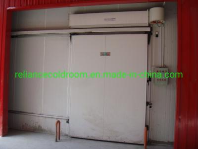 China Home Using Container Cold Storage with Cheese Cold Room and Air Cooler Blast Freezer for sale
