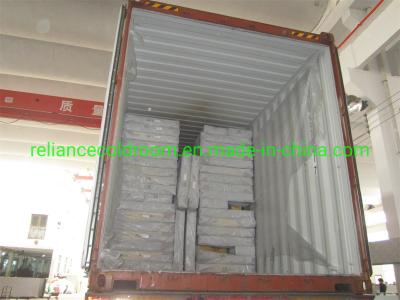 China Home Using Container Cold Storage with Cheese Cold Room and Air Cooler Blast Freezer for sale