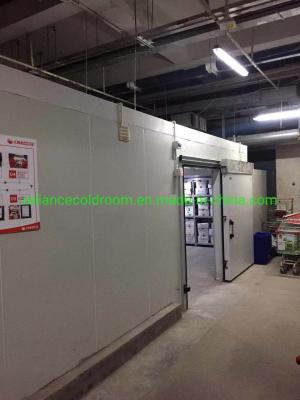 China Meat Fish Storage Walk in Cooler Panels with Monoblock Condenser and Freon Refrigerant for sale