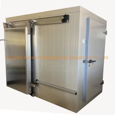 China Small Refrigerant PU/PIR Sandwich Panel Cold Storage Cold Room for Storage Solutions for sale