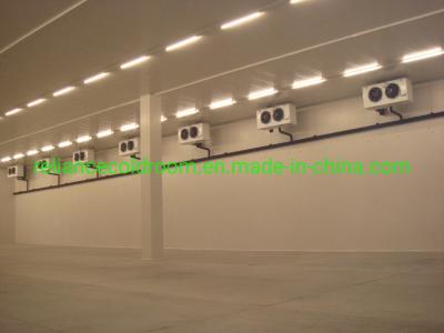 China Small Walk in Freezer/Chiller for Vegetables Fruits Refrigerant Freon Cold Storage Room for sale