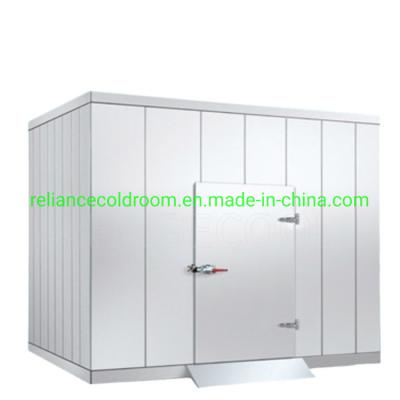 China Customizable Modular Cold Storage Freezer Room for Beef Seafood Fish Shrimp -10-0C for sale