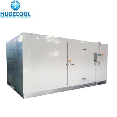 China Temperature -18c Industrial Assembled Cool Rooms and Freezer Room with Condensing Unit for sale