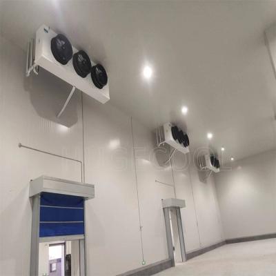 China Piston and Scroll Compressor Cold Room for Vegetables Meat Fruits in Logistics Warehouse for sale