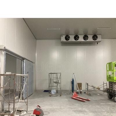 China Piston and Scroll Compressor Cold Room for Vegetables Meat Fruits in Logistics Warehouse for sale