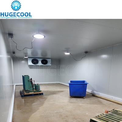 China Piston and Scroll Compressor Cold Room for Vegetables Meat Fruits in Logistics Warehouse for sale