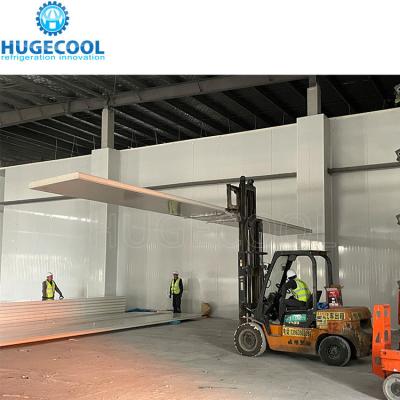 China Hinged Door Blast Freezer Container Cold Room Storage Unit for Frozen/Fresh Products for sale