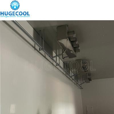 China Hinged Door Blast Freezer Container Cold Room Storage Unit for Frozen/Fresh Products for sale
