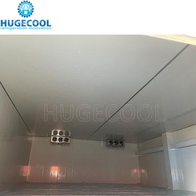 China Hinged Door Blast Freezer Container Cold Room Storage Unit for Frozen/Fresh Products for sale