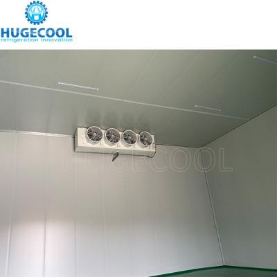 China R449 Refrigerant Model Vegetable and Fruit Cooler Room for Food Storage Solution for sale