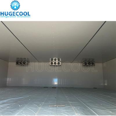 China 120mm/150mm/180mm/200mm Panel Thickness Walk-in Freezer for Frozen Meat 100 Tons Capacity for sale