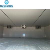 China Hinged Door Cold Room Walk-in Freezer for Meat Preservation Solution for sale