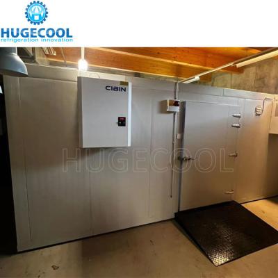 China Assembled Structure Customization Cold Storage Room for Chicken Vegetables and Fruits for sale