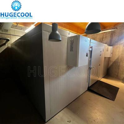 China Assembled Structure Customization Cold Storage Room for Chicken Vegetables and Fruits for sale