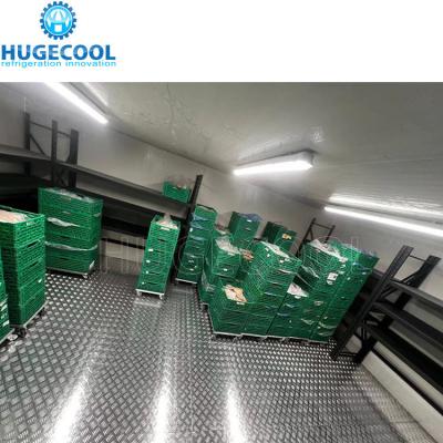 China Assembled Structure Customization Cold Storage Room for Chicken Vegetables and Fruits for sale