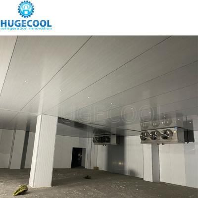 China Assembled Structure Customization Cold Storage Room for Chicken Vegetables and Fruits for sale