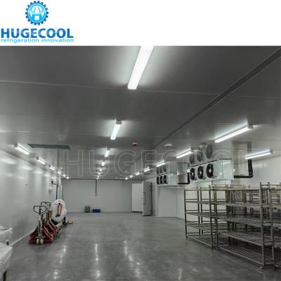 China Beweeglijke koelruimte voor vlees met blastfreezer en PU-paneelvloer Te koop
