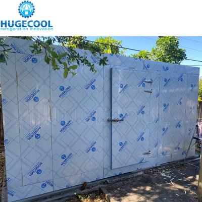 China 2*2*3m Small Cold Storage Room with Walk-in Function and Freon Refrigerant Compressor for sale