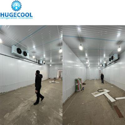 China 2*2*3m Small Cold Storage Room with Walk-in Function and Freon Refrigerant Compressor for sale