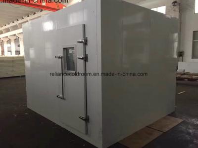 China 2*2*3m Small Cold Storage Room with Walk-in Function and Freon Refrigerant Compressor for sale