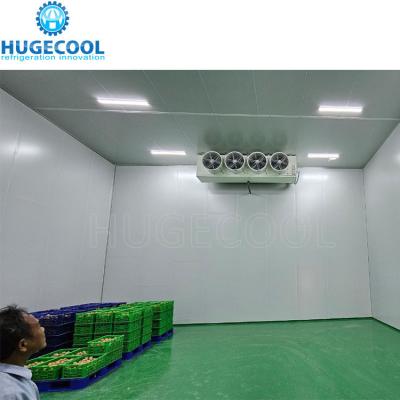 China Blood Storage Cold Room with Temperature Control and Refrigeration Equipment Compressor for sale