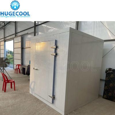 China Blood Storage Cold Room with Temperature Control and Refrigeration Equipment Compressor for sale