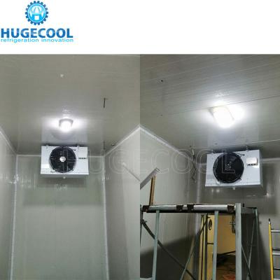 China Koudopslagruimte met monoblok 2,5*2,5*2,5 m geschikt voor thuisgebruik en bloed Te koop