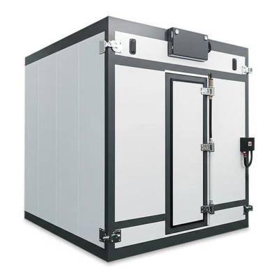 China 150mm Thick Modular Chiller Room Energy-Saving and Customizable for Your Business for sale