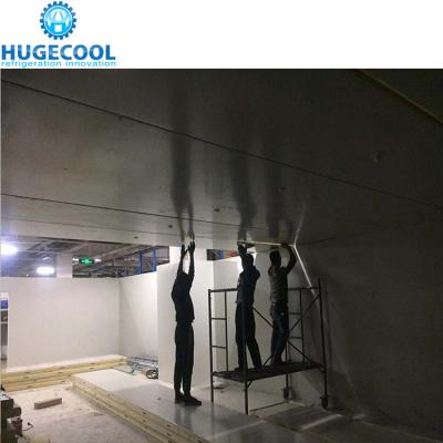 Китай Легкий для установки комнаты холодильных установок продается