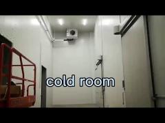 Sala fria refrigerada -18~-25℃ dos peixes e da carne