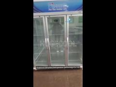 Fornire porta di vetro di liquore porta frigorifero per il supermercato Merchandising