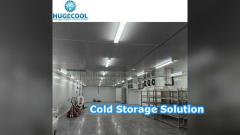 Walk In Freezer Cold Chamber For Sale
