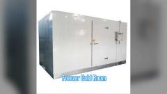 Freezer Cold Room Subzero Storage Extended Shelf Life