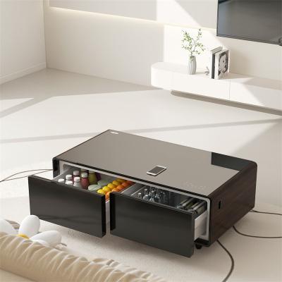 Chine NO Réfrigérateur à table à thé pliable avec réfrigérateur et congélateur métallique à vendre