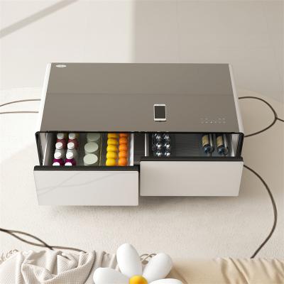 China USB Parameters 5V/1A 5V/2A Smart Mini Table and Fridge with Integrated Music Player for sale