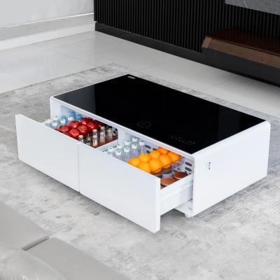 China 2024 Smart Coffee Table with Multifunction Wireless Chargers Led Ambient Light Speaker and 70L Freezer Capacity for sale