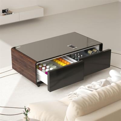 China Silk Screen Printing Logo Double Door Refrigerator Freezer for Commercial Display for sale