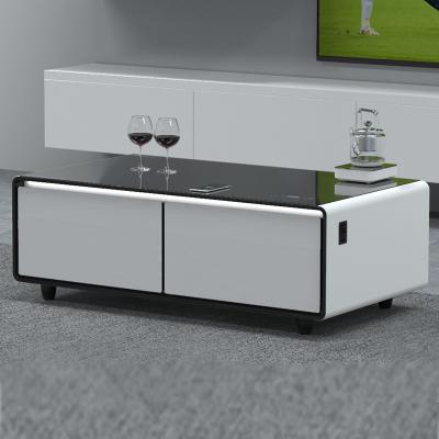 Cina 135L doppia porta di ricarica USB Refrigeratore con compressore in vendita